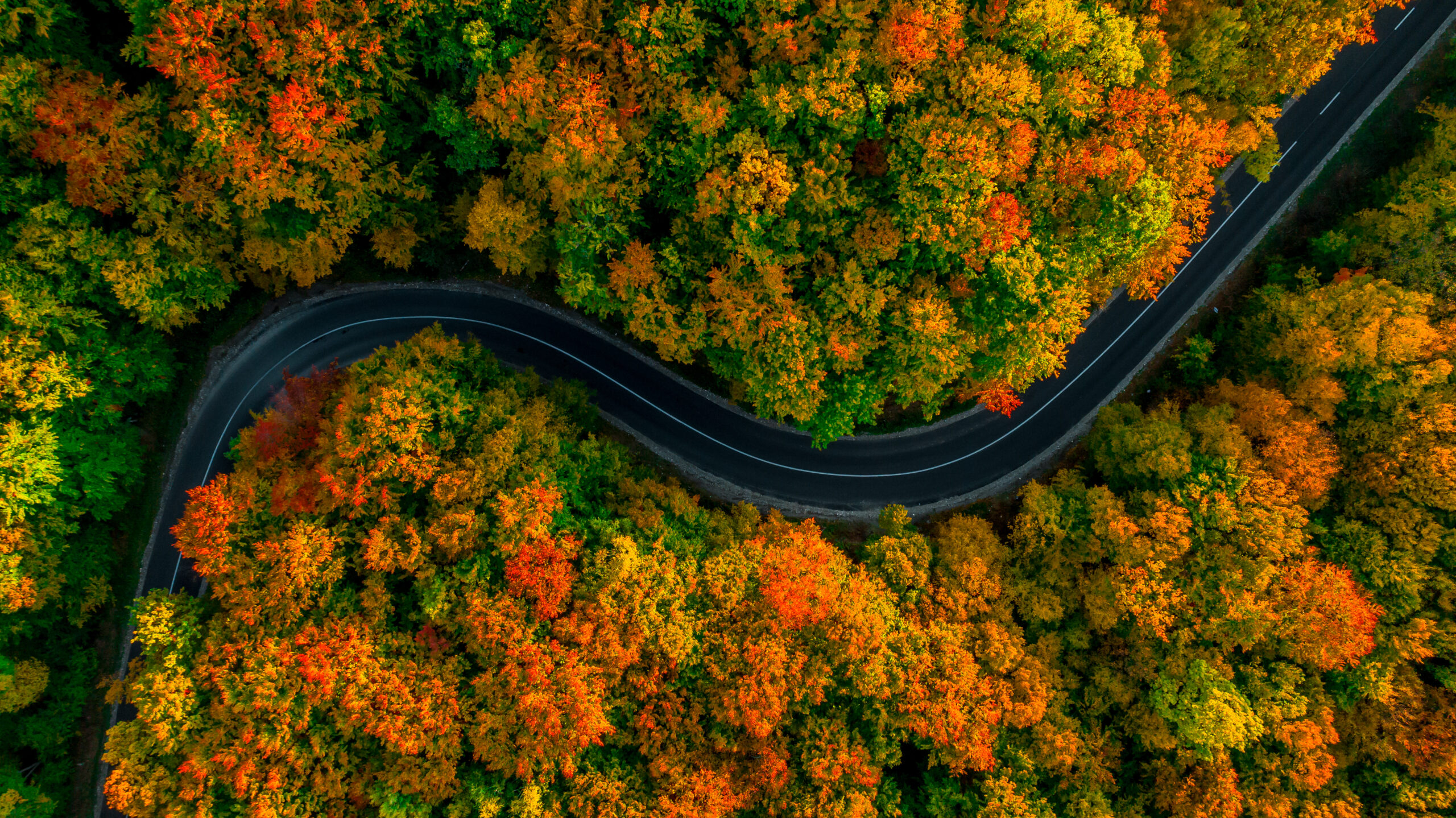 Fall into Autumn, US Style - rocksure